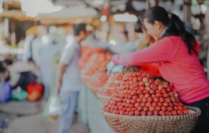 Fisiocracia: teoría económica clave y su origen • Monty.es